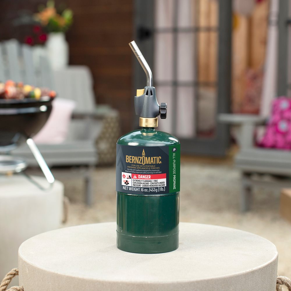 Coleman Propane Lantern Case Coleman 16-oz Propane Cylinder U2013 2 ...